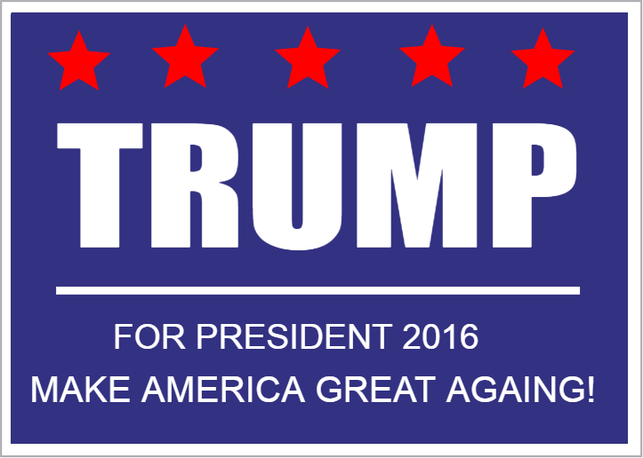 Yard Signs - Political Signs & Campaign Signs to win the Elections ...